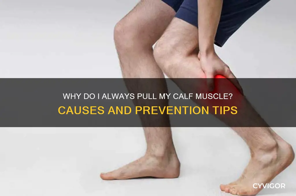 Why Do I Always Pull My Calf Muscle? Causes And Prevention Tips | CyVigor