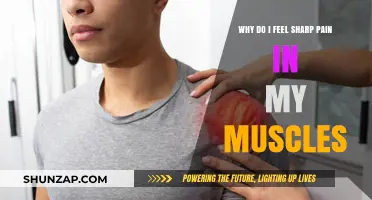 Understanding Back Shoulder Muscle Pain: Causes, Prevention, And Relief ...