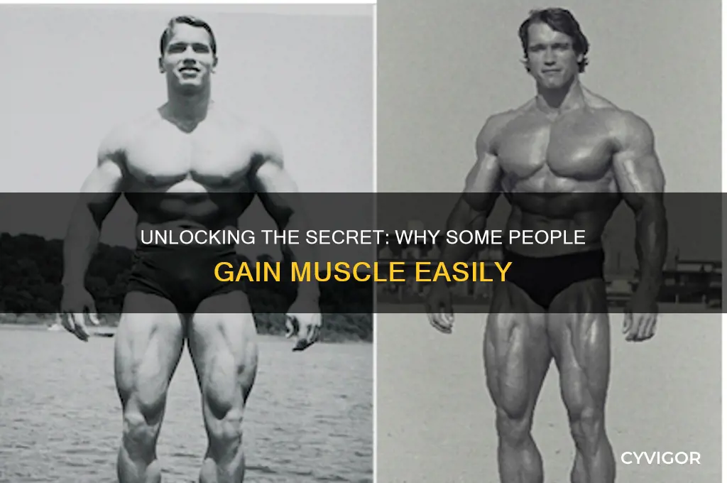 Unlocking The Secret: Why Some People Gain Muscle Easily | CyVigor