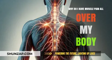 Understanding Back Shoulder Muscle Pain: Causes, Prevention, And Relief ...