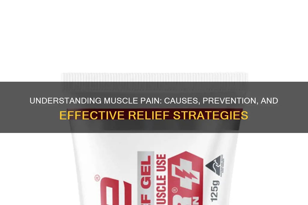 Understanding Muscle Pain: Causes, Prevention, And Effective Relief ...