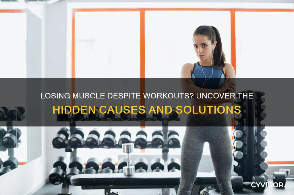 Losing Muscle Despite Workouts? Uncover The Hidden Causes And Solutions ...