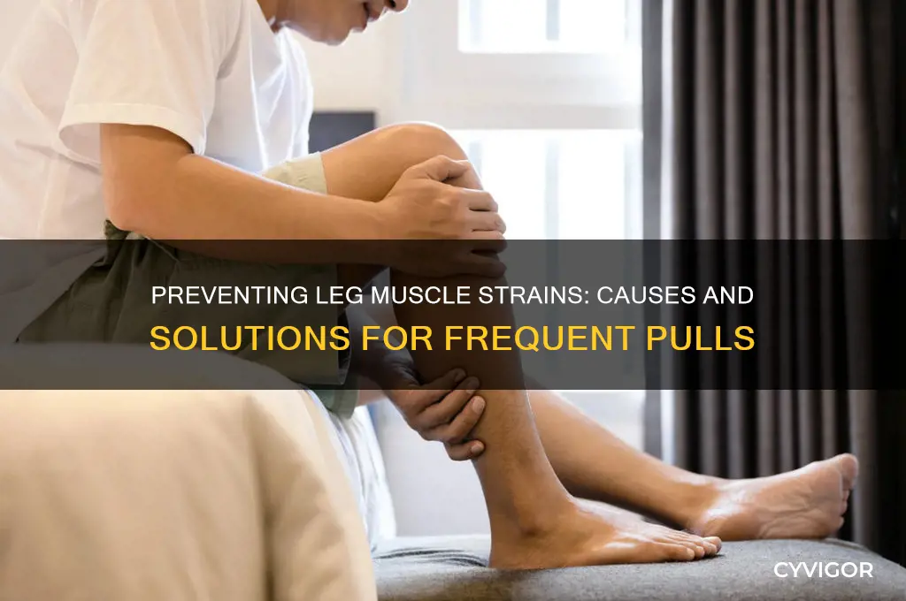 Preventing Leg Muscle Strains: Causes And Solutions For Frequent Pulls ...