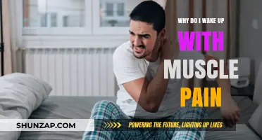 Hip Muscle Pain And Groin Discomfort: Understanding The Connection ...