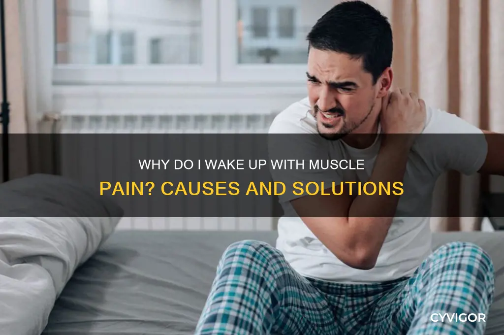 Why Do I Wake Up With Muscle Pain? Causes And Solutions | CyVigor