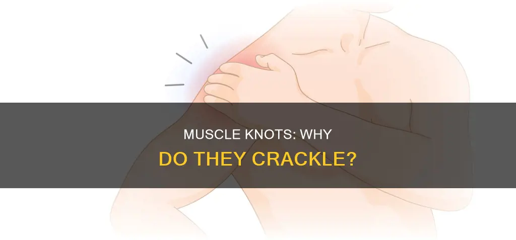 Muscle Knots: Why Do They Crackle? | CyVigor