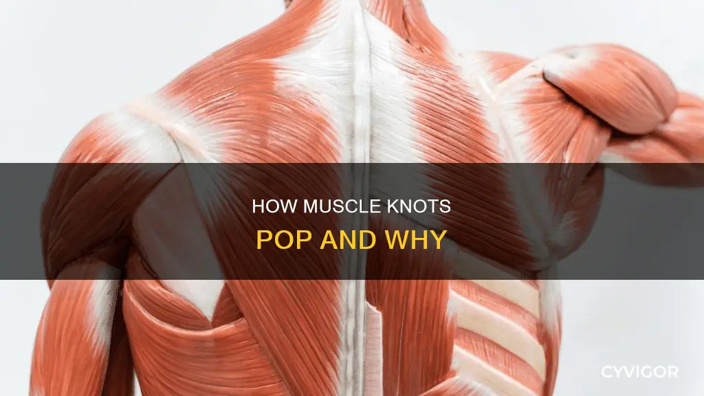 How Muscle Knots Pop And Why | CyVigor