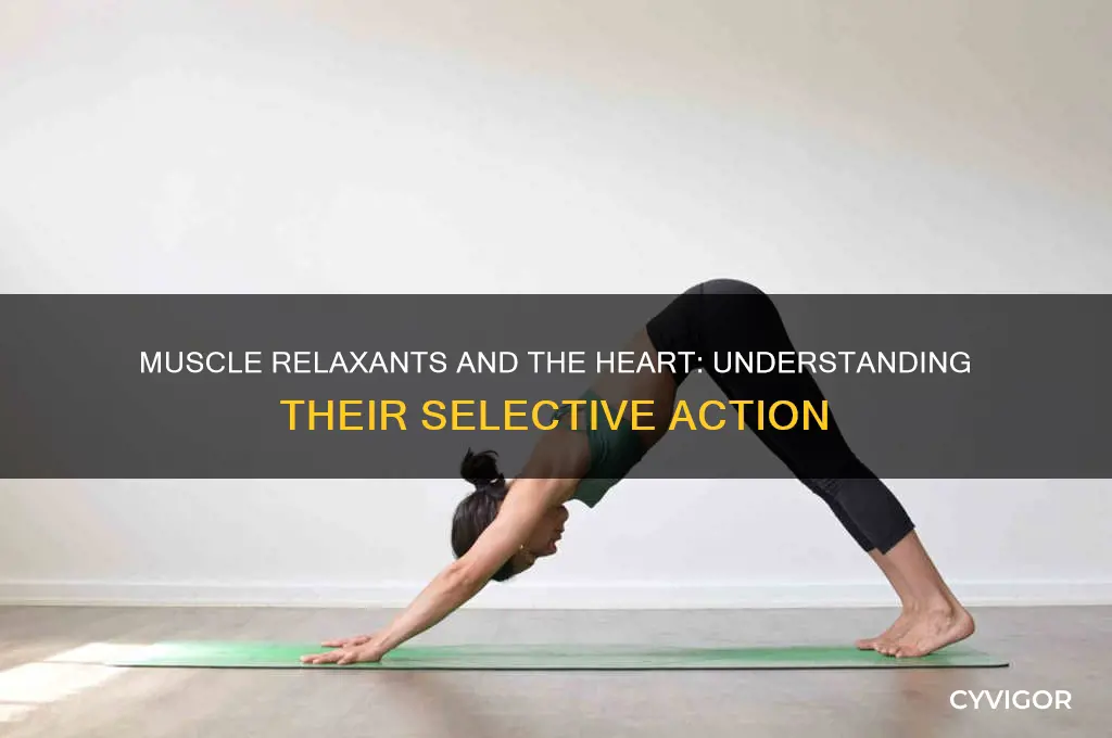 Muscle Relaxants And The Heart: Understanding Their Selective Action ...