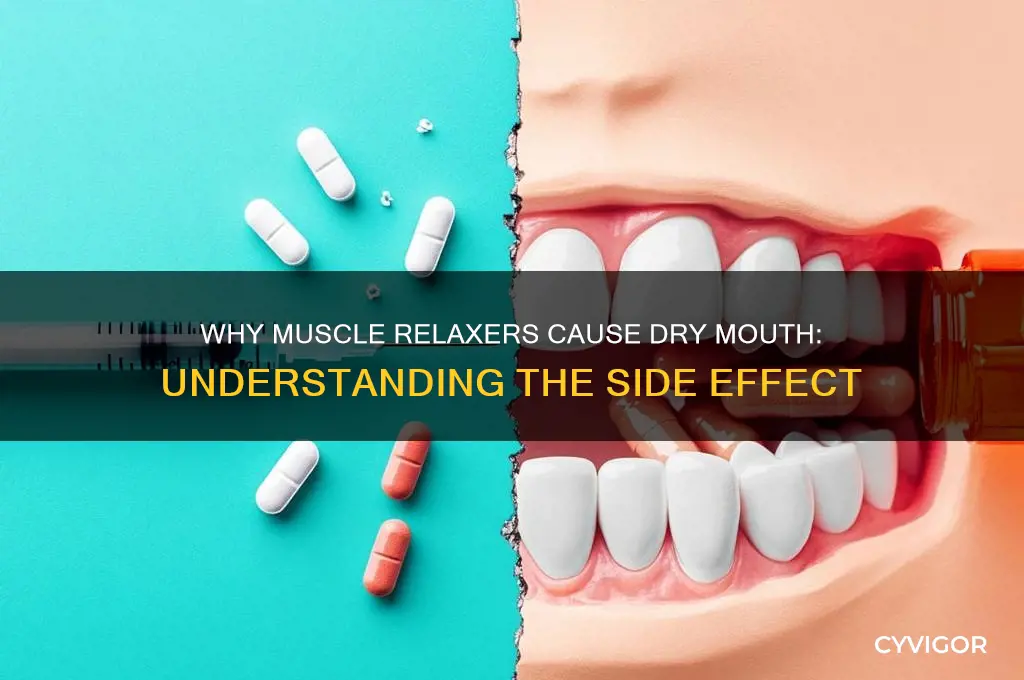 Why Muscle Relaxers Cause Dry Mouth: Understanding The Side Effect ...