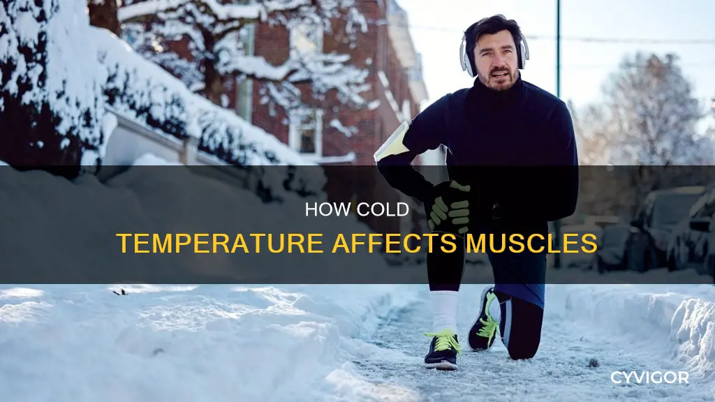How Cold Temperature Affects Muscles | CyVigor