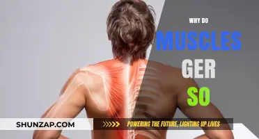 Muscles Need Oxygen: The Science Behind Muscle Function | CyVigor