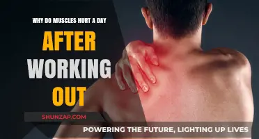 Post-Workout Muscle Spasms: Causes, Prevention, And Quick Relief Tips ...
