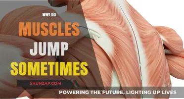 How Muscles Move: Understanding The Science | CyVigor
