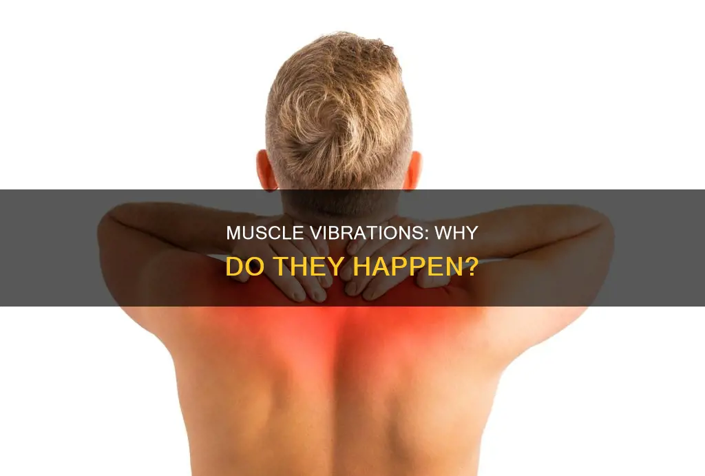 Muscle Vibrations: Why Do They Happen? | CyVigor