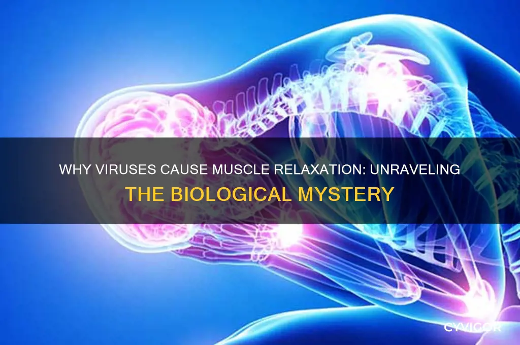 Why Viruses Cause Muscle Relaxation: Unraveling The Biological Mystery ...