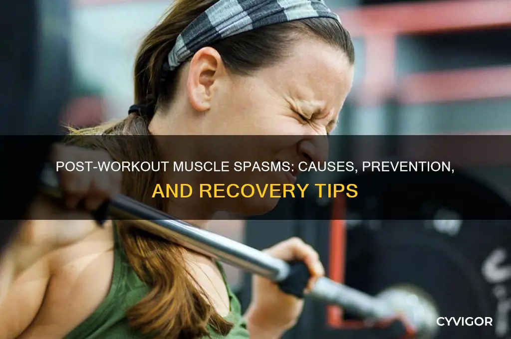 Post-Workout Muscle Spasms: Causes, Prevention, And Recovery Tips | CyVigor