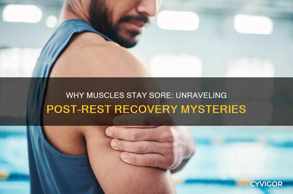 Why Muscles Stay Sore: Unraveling Post-Rest Recovery Mysteries | CyVigor