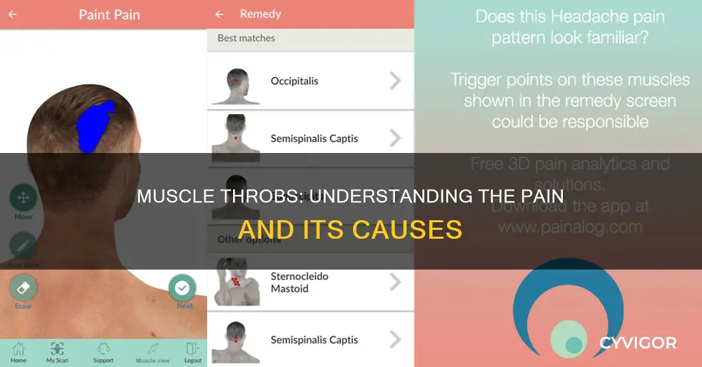 Muscle Throbs: Understanding The Pain And Its Causes | CyVigor