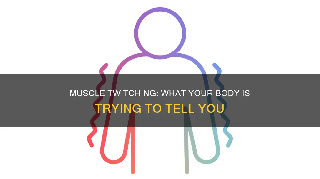 Muscle Twitching: What Your Body Is Trying To Tell You | CyVigor