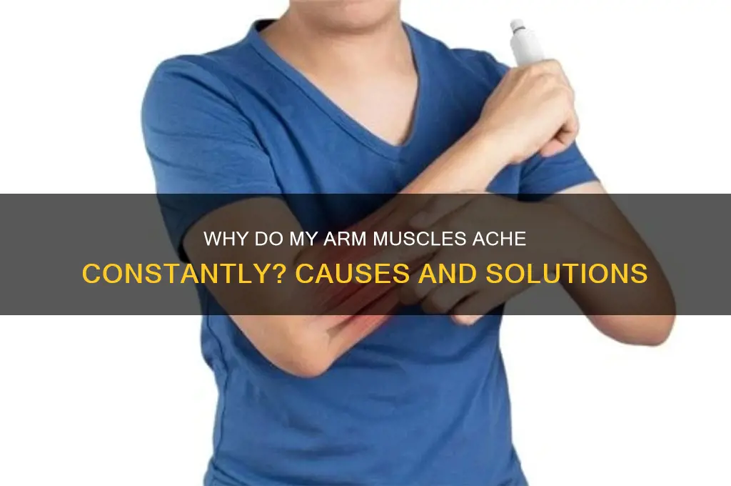 Why Do My Arm Muscles Ache Constantly? Causes And Solutions | CyVigor