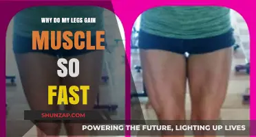 Why Men Build Muscle Faster: Biology, Hormones, And Strength Explained ...