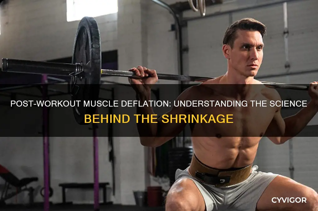 Post-Workout Muscle Deflation: Understanding The Science Behind The ...