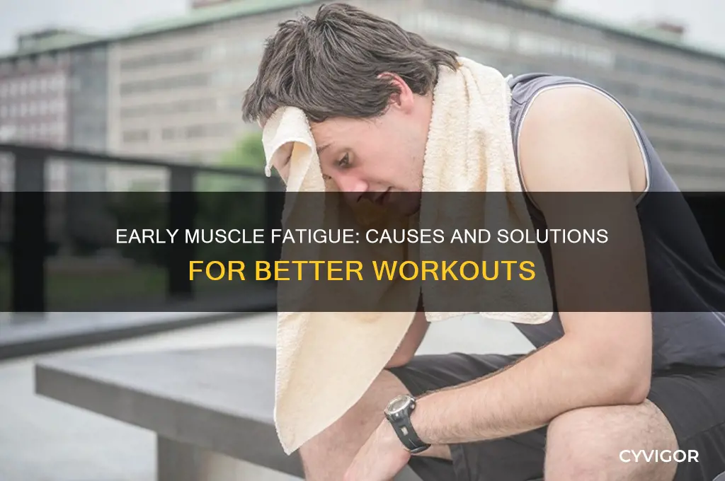 Early Muscle Fatigue: Causes And Solutions For Better Workouts | CyVigor