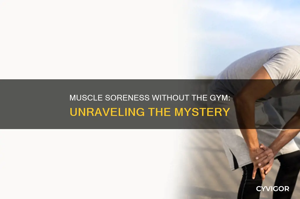 Muscle Soreness Without The Gym: Unraveling The Mystery | CyVigor