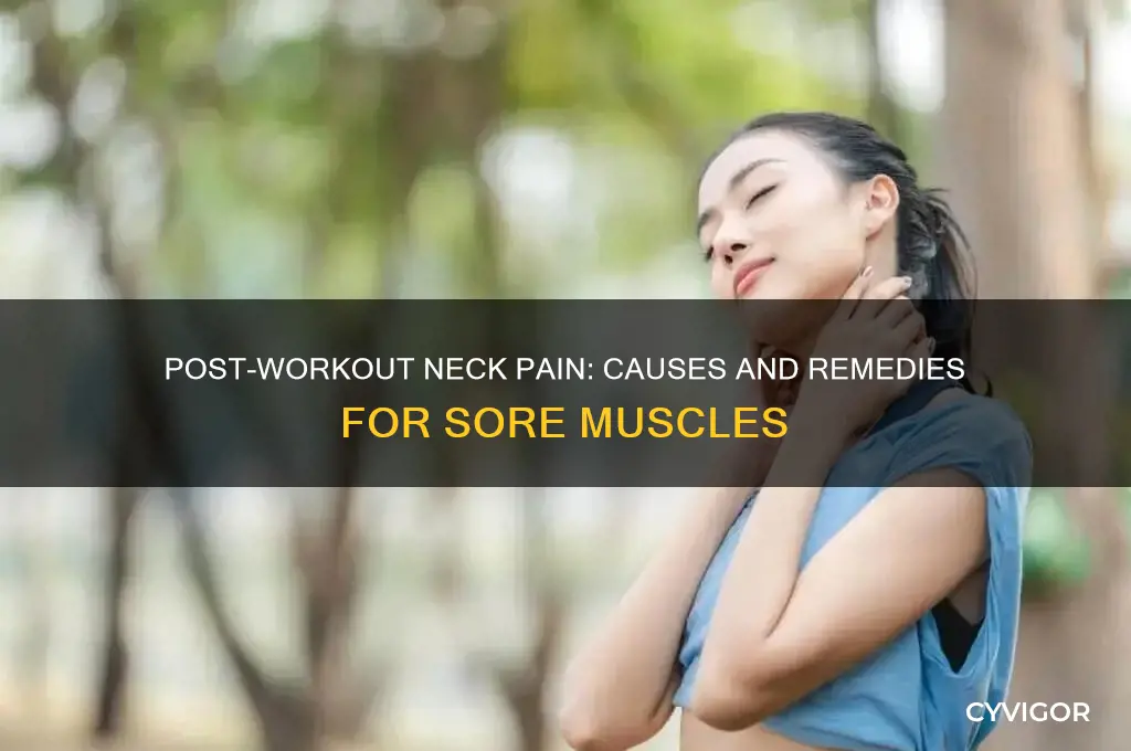 Post-Workout Neck Pain: Causes And Remedies For Sore Muscles | CyVigor