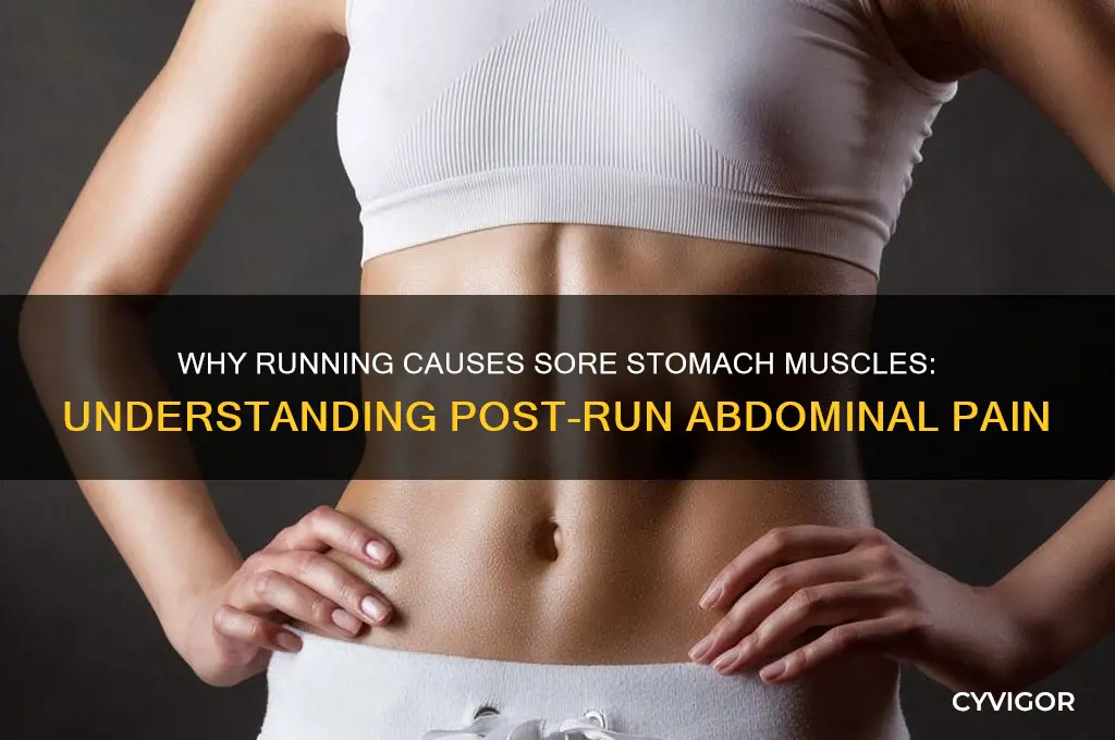 Why Running Causes Sore Stomach Muscles: Understanding Post-Run ...