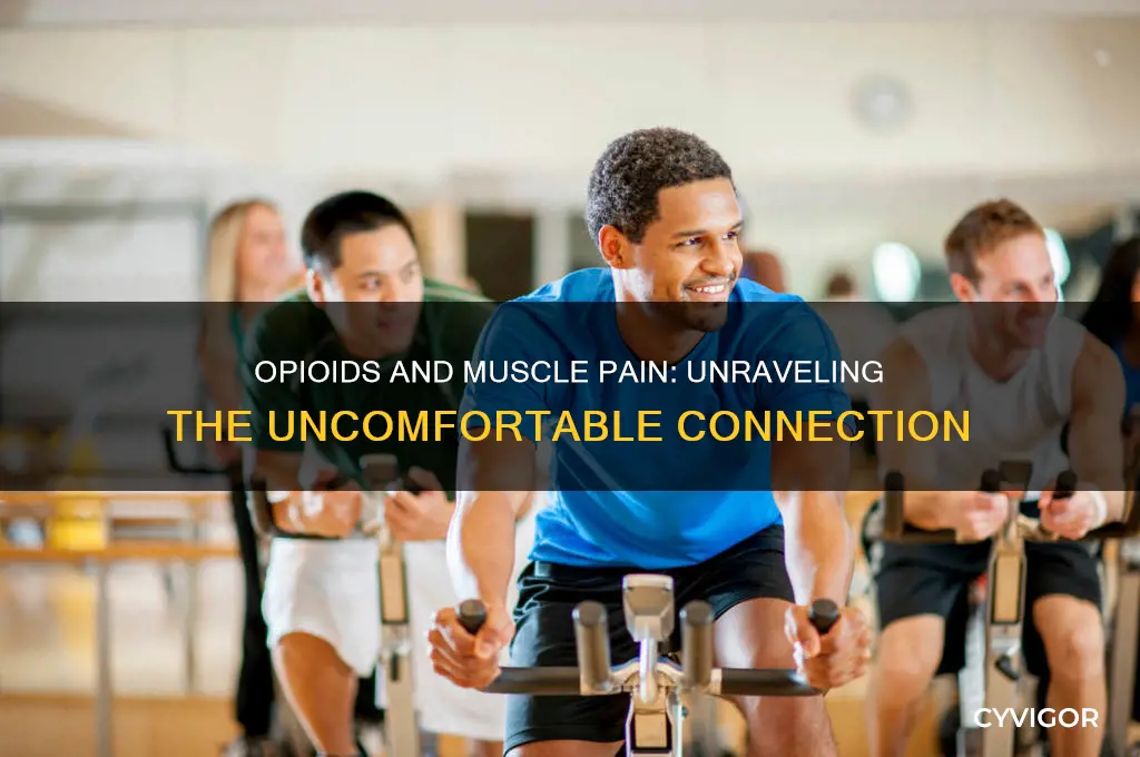 Opioids And Muscle Pain: Unraveling The Uncomfortable Connection | CyVigor