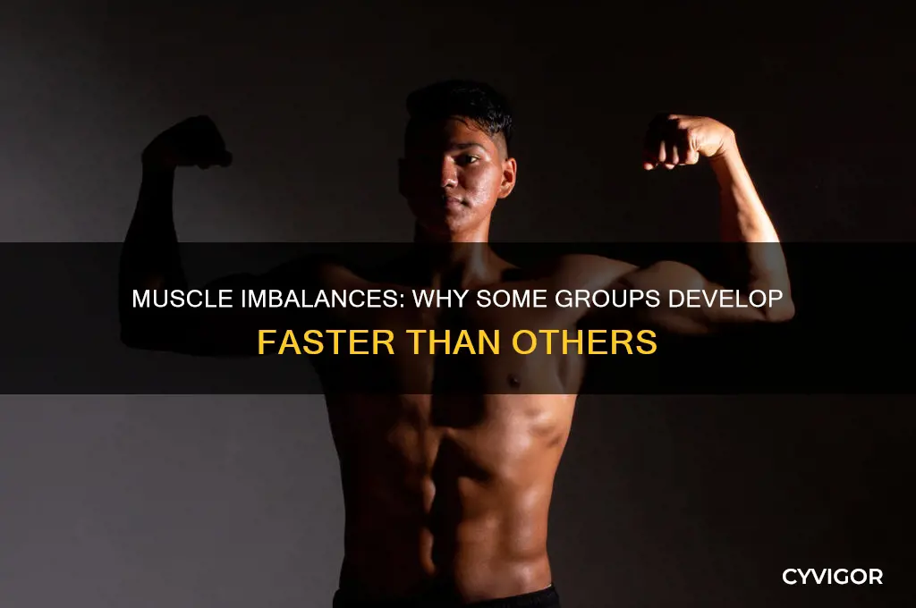 Muscle Imbalances: Why Some Groups Develop Faster Than Others | CyVigor
