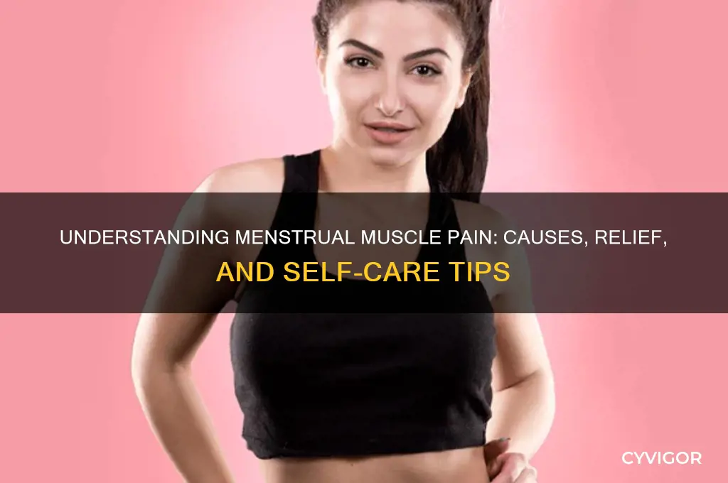 Understanding Menstrual Muscle Pain: Causes, Relief, And Self-Care Tips ...