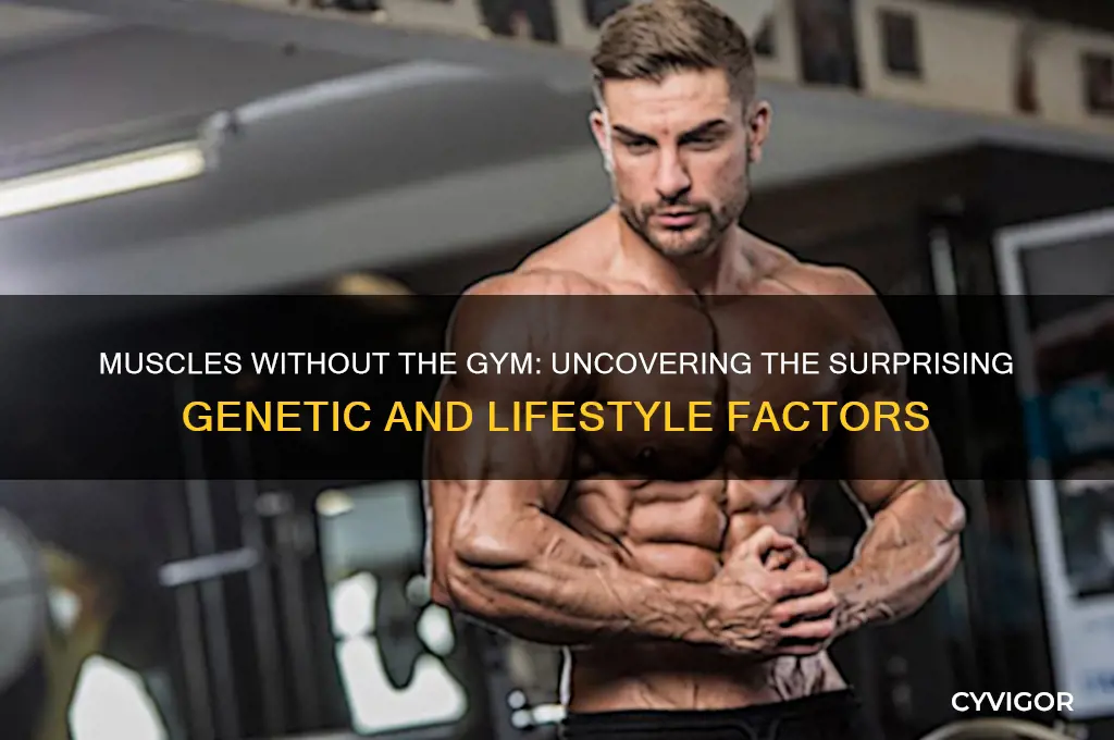 Muscles Without The Gym: Uncovering The Surprising Genetic And ...