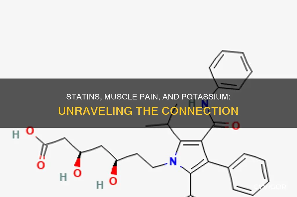 Statins, Muscle Pain, And Potassium: Unraveling The Connection | CyVigor