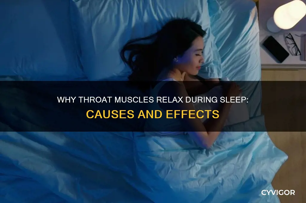 Why Throat Muscles Relax During Sleep: Causes And Effects | CyVigor
