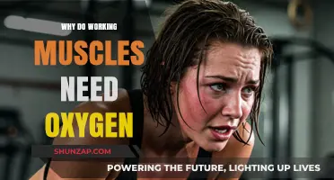 Post-Workout Stomach Muscle Pain: Causes And Remedies Explained | CyVigor