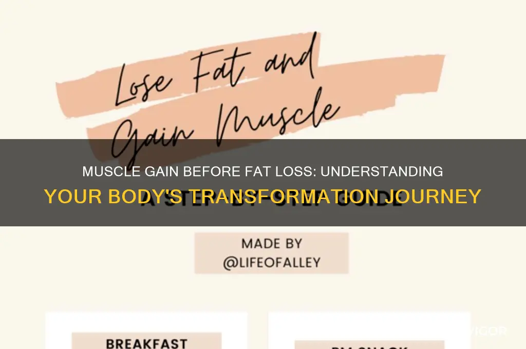 Muscle Gain Before Fat Loss: Understanding Your Body's Transformation ...
