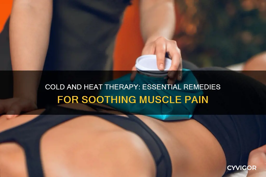 Cold And Heat Therapy: Essential Remedies For Soothing Muscle Pain ...