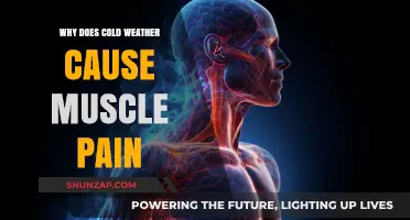 Crestor Side Effects: Understanding Muscle And Joint Pain Causes | CyVigor