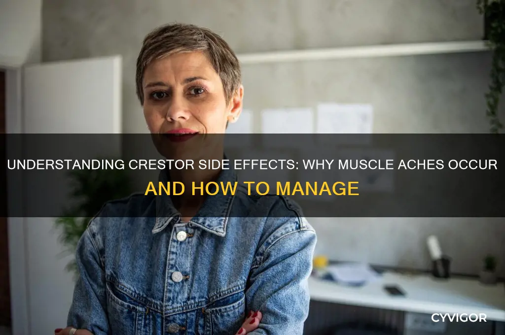 Understanding Crestor Side Effects: Why Muscle Aches Occur And How To ...
