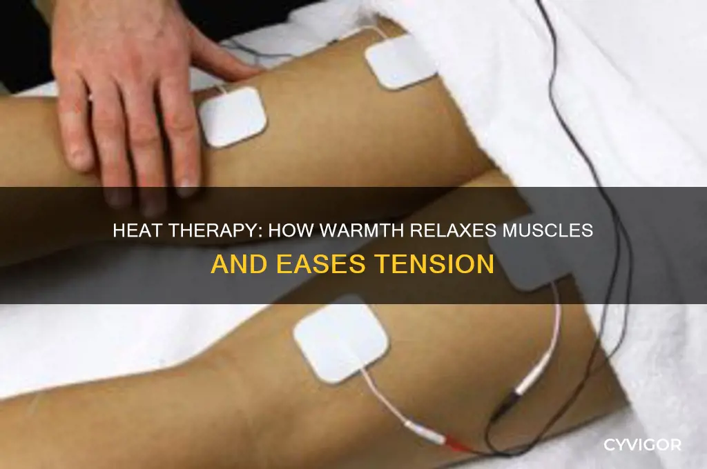 Heat Therapy: How Warmth Relaxes Muscles And Eases Tension | CyVigor