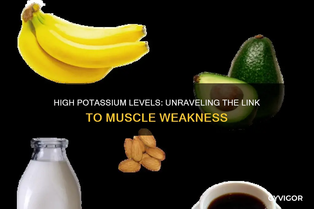 High Potassium Levels: Unraveling The Link To Muscle Weakness | CyVigor