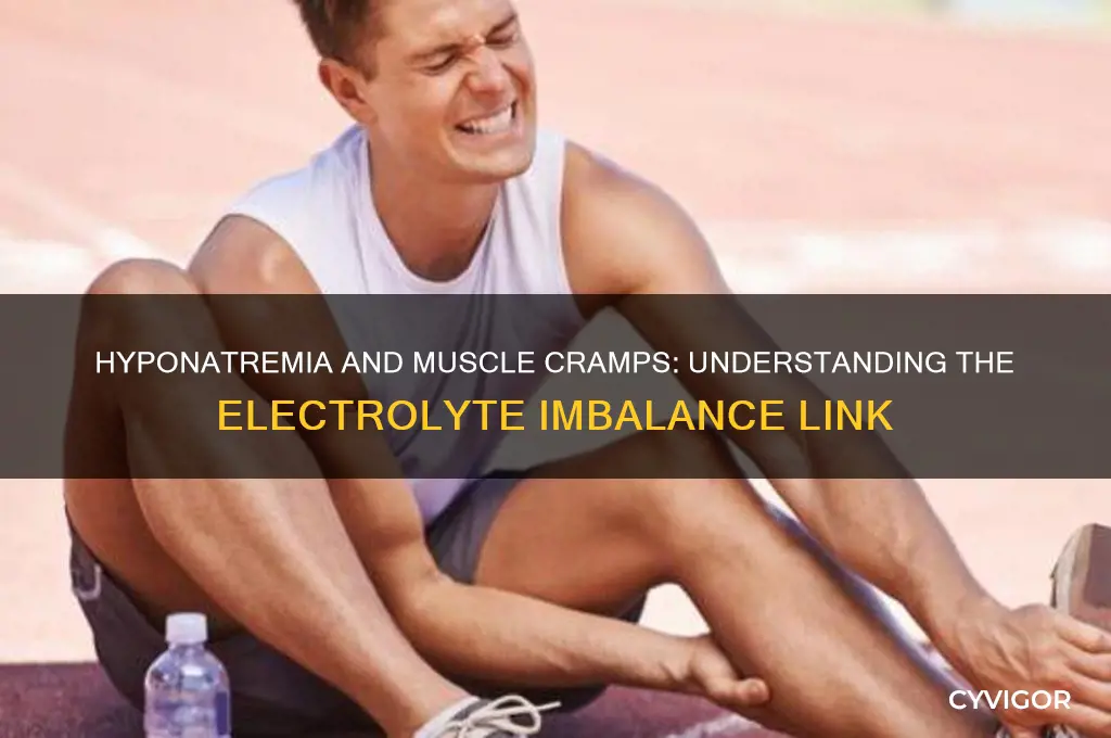 Hyponatremia And Muscle Cramps: Understanding The Electrolyte Imbalance ...
