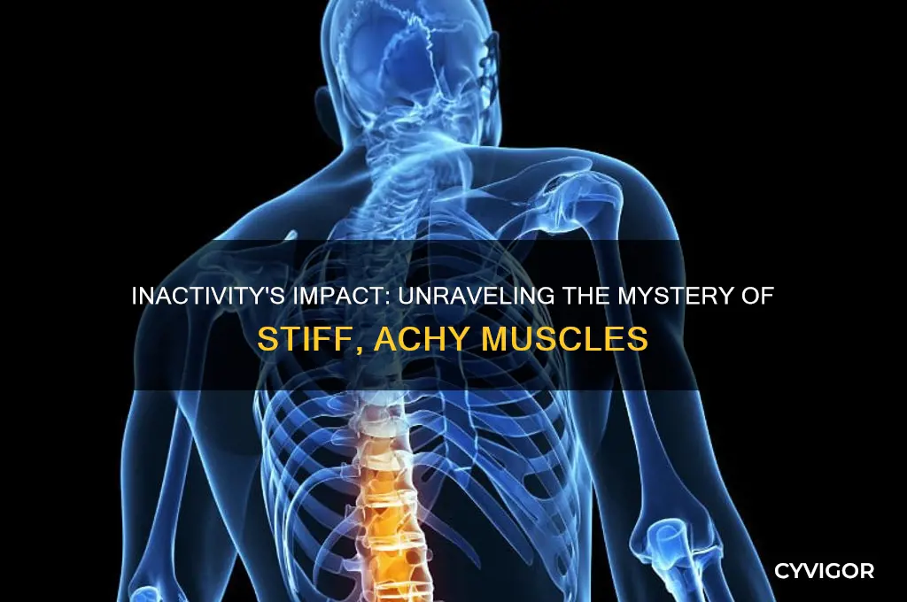 Inactivity's Impact: Unraveling The Mystery Of Stiff, Achy Muscles ...