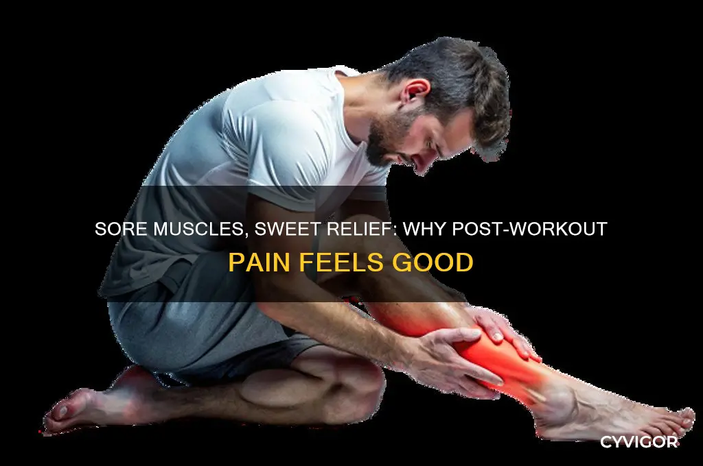 Sore Muscles, Sweet Relief: Why Post-Workout Pain Feels Good | CyVigor