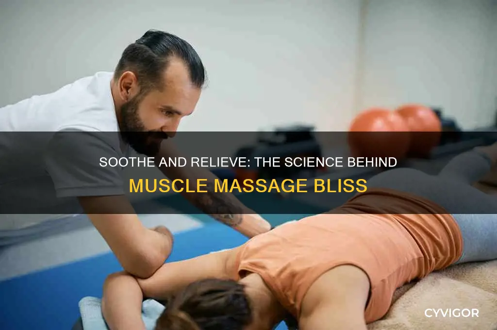 Soothe And Relieve: The Science Behind Muscle Massage Bliss | CyVigor