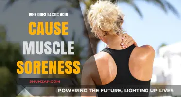 Understanding Letrozole's Impact: Joint And Muscle Pain Explained | CyVigor