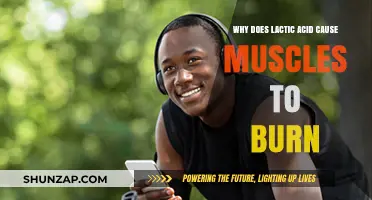 Understanding Lasix-Induced Muscle Cramps: Causes And Prevention ...