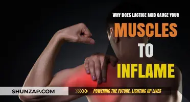 Understanding Lasix-Induced Muscle Cramps: Causes And Prevention ...